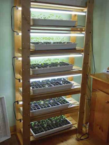 12 Easy DIY Seed Starting System Ideas – Mother Earth News